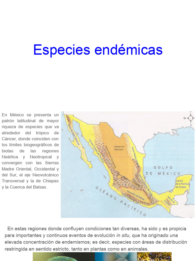 Especies Endémicas | PDF