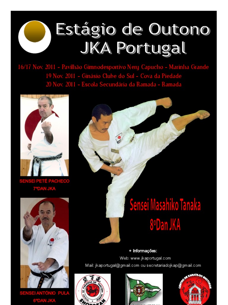 Poster Sensei Tanaka 2011 | PDF