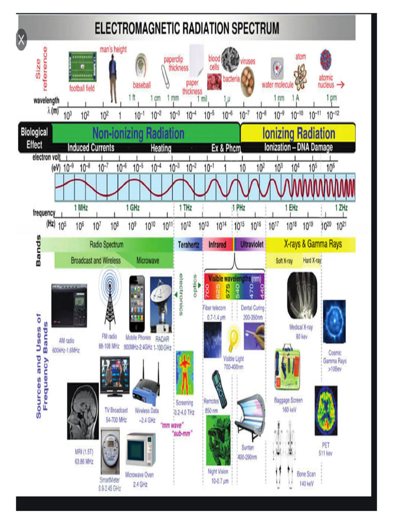 Electrical Facts | PDF