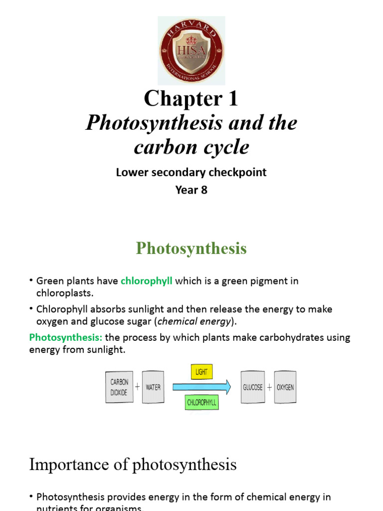 Photosynthesis and The Carbon Cycle: Lower Secondary Checkpoint Year 8 ...