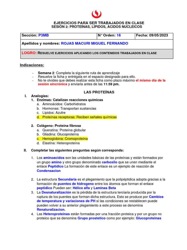 APRENDE - S2 - Ficha Durante La Clase | PDF | Rna | gordo