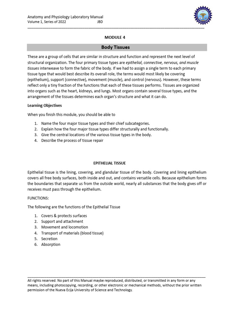 Module 4 - Tissues | PDF | Epithelium | Tissue (Biology)