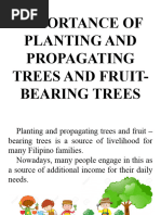 Planting System in Orchards | PDF | Rectangle | Orchard