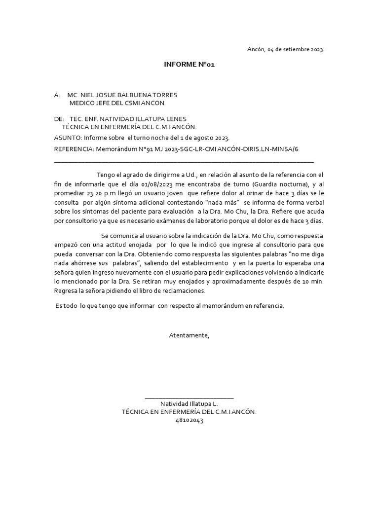Modelo de Informe | PDF