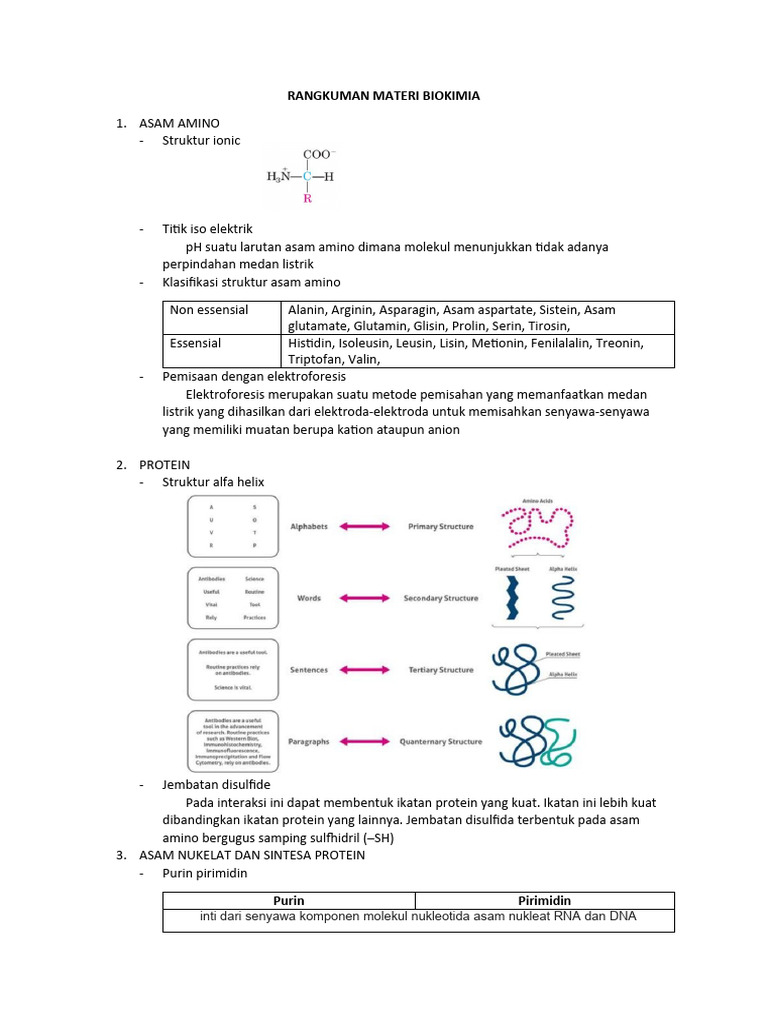 Rangkuman Materi Biokimia | PDF