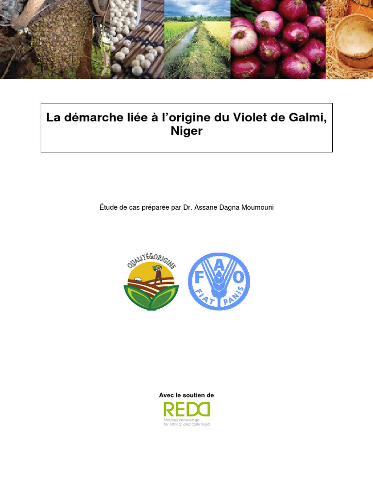 Violetgalmi Niger | PDF | Sciences de la terre