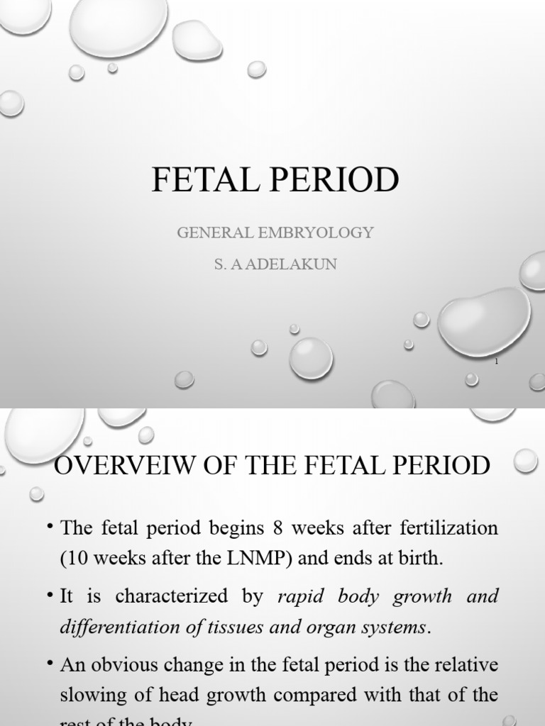 Fetal Period | PDF | Fetus | Prenatal Development