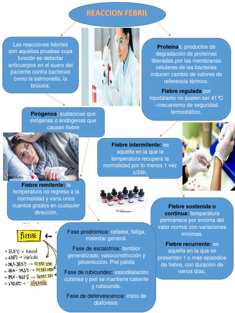 Reaccion Febril | PDF | Fiebre | Ciencias de la Salud