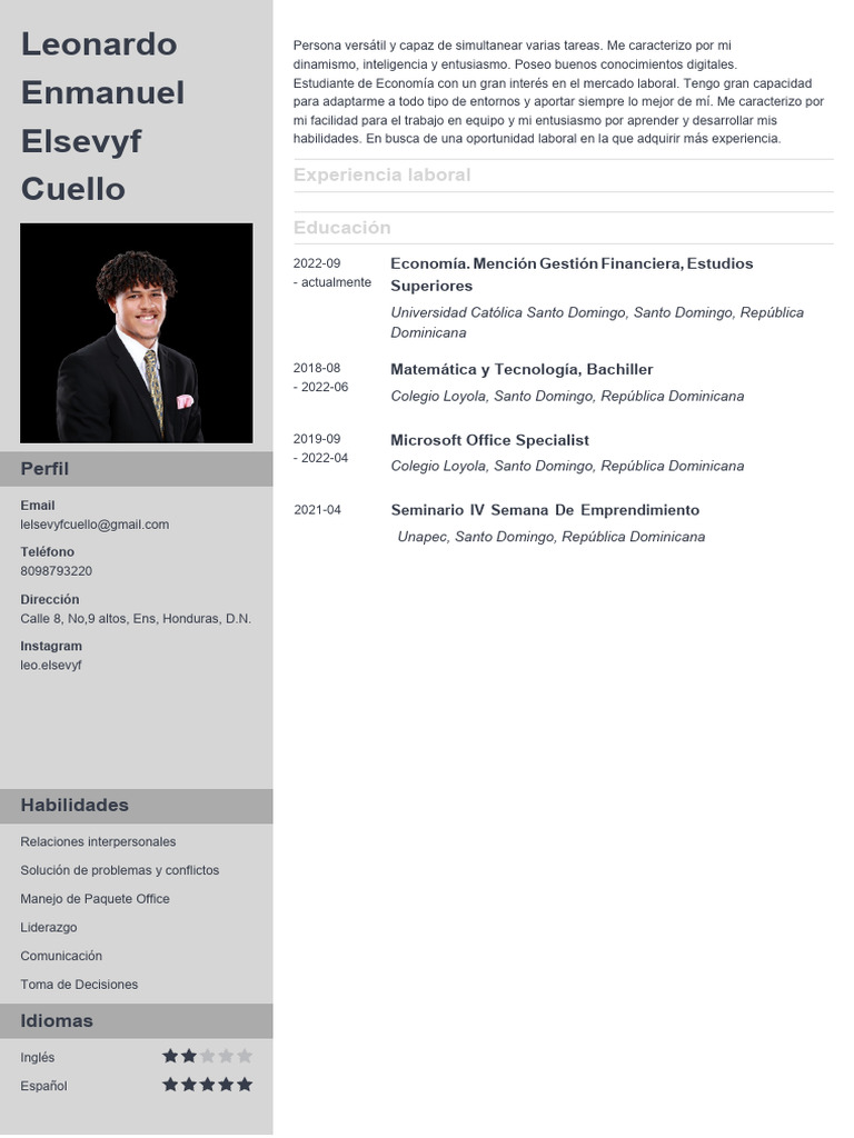 Leonardo Elsevyf Curriculum | PDF