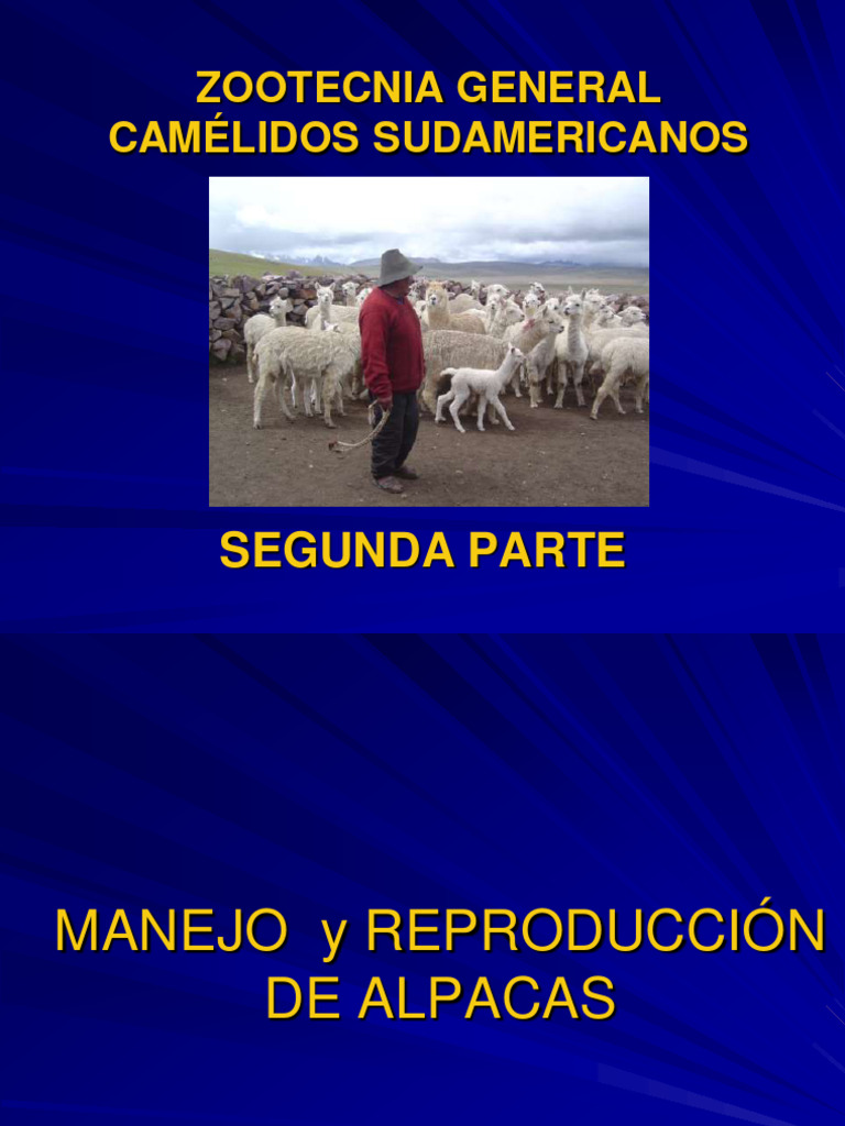 Tema 17A.Camélidos | PDF | Mamíferos