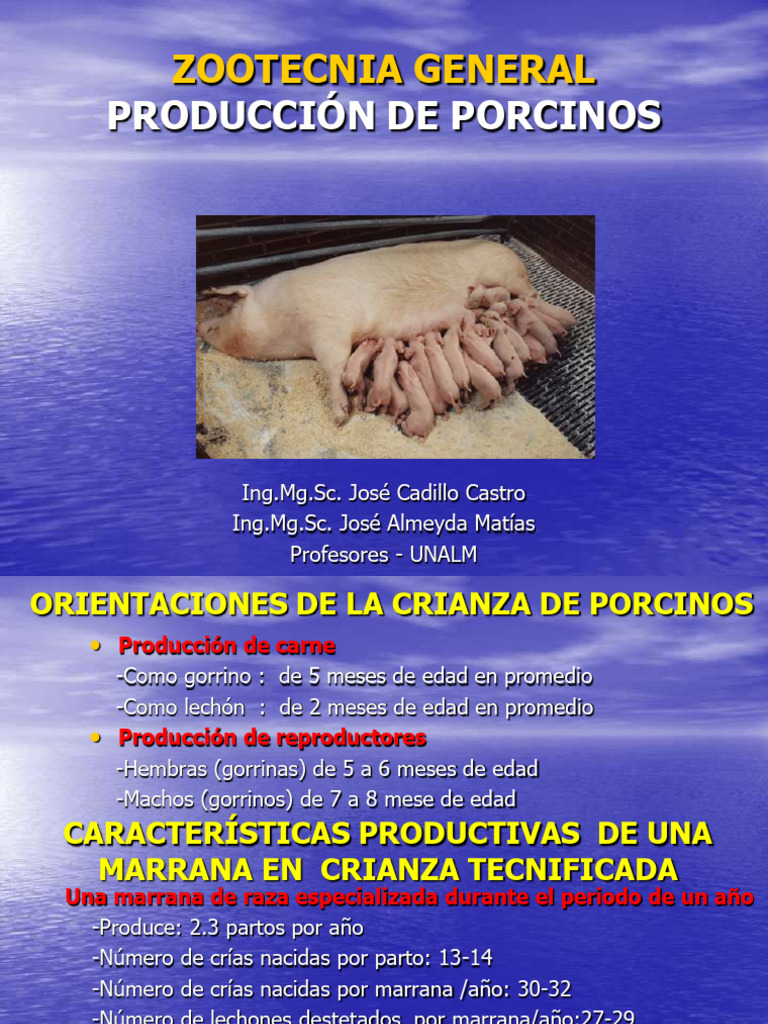 Tema 18 (A) ZOOT-PORCINOS 1 | PDF | Cerdo | Parto