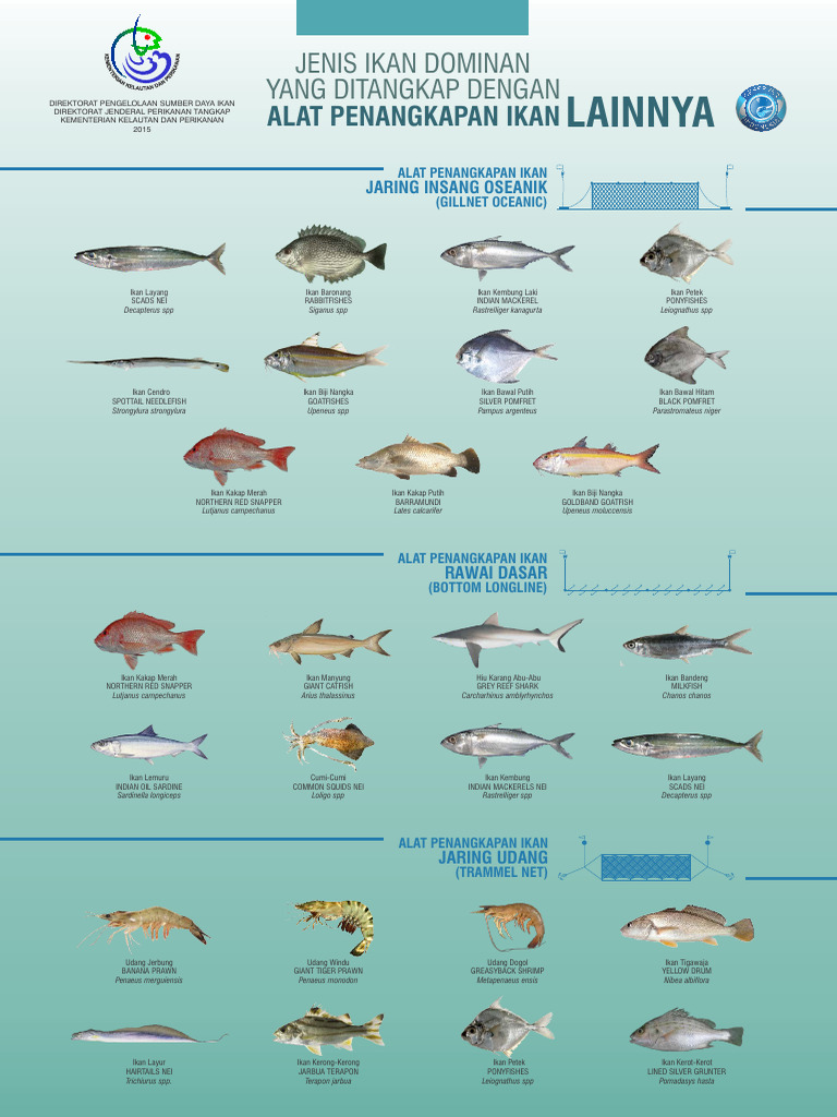 8 - Poster Jenis Ikan Dominan Dengan API Lainnya Final | PDF