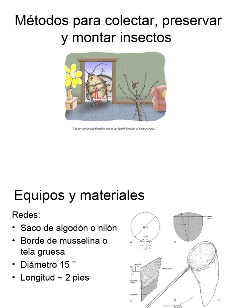 1 Métodos para Colectar Preservar y Montar Insectos | PDF