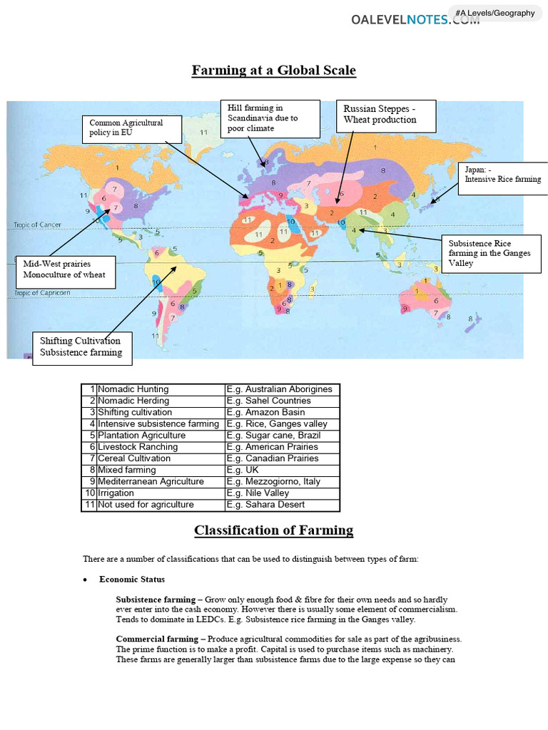 Farming at A Global Scale A Level Grography | PDF | Agriculture | Farms
