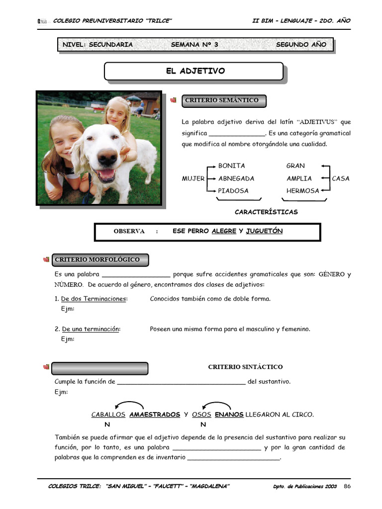 2do Año - Lenguaje - Guia Nº3 - El Adjetivo | PDF | Adjetivo | Sustantivo