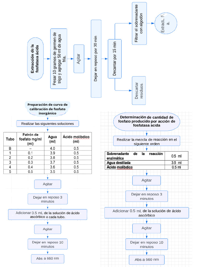 Preparación de Curva de Calibración de Fosfato Inorgánico | PDF