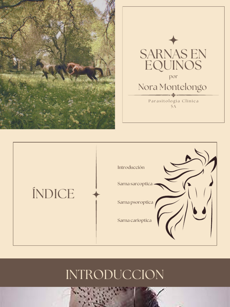 Sarnas en Equinos | Descargar gratis PDF | Artrópodos