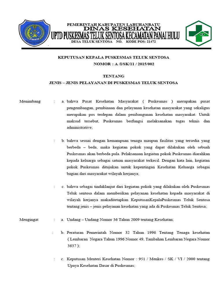 1.1.1.1 SK Jenis Pelayanan | PDF