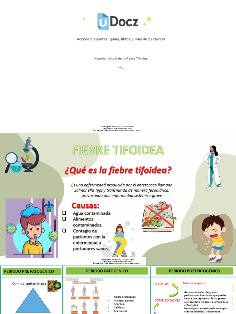Fiebre Tifoidea | PDF | Salmonela | Medicina CLINICA