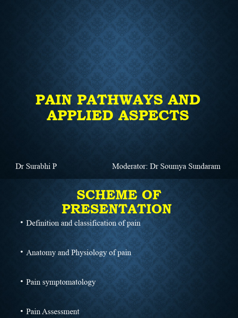 Pain Pathway | PDF