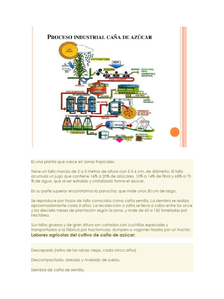 Proceso de Azucar | PDF