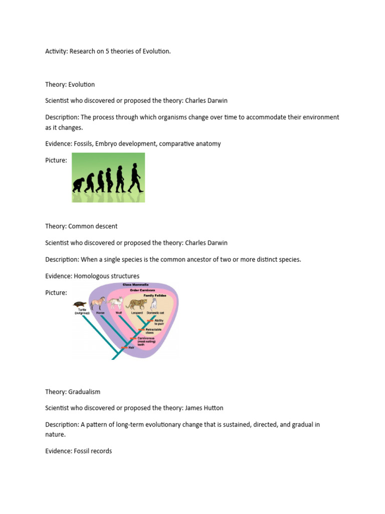 Five Key Evolution Theories Explained | PDF | Social Science | Philosophy
