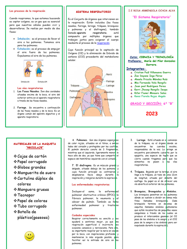 Tríptico del Sistema Respiratorio | PDF