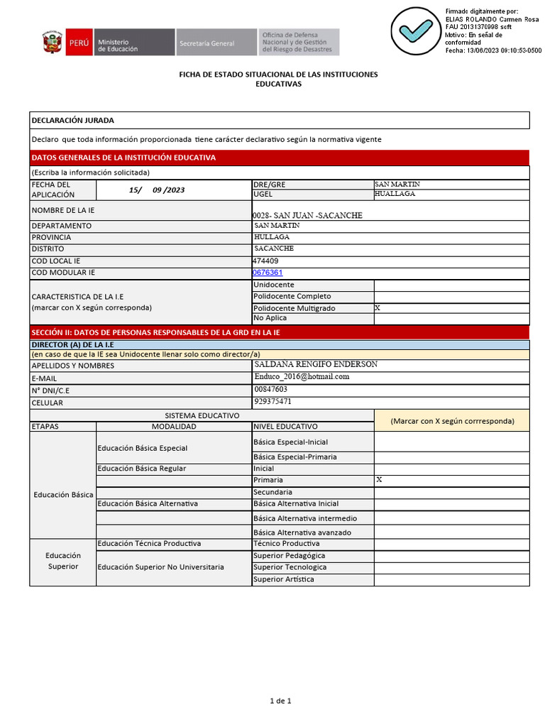 Ficha Estado Situacional II - EE | PDF