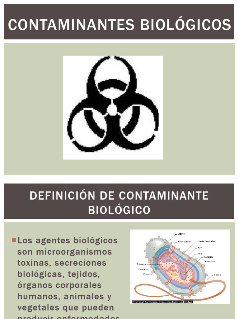 Apunte 4. RIESGOS BIOLOGICOS | PDF | Infección | Ántrax