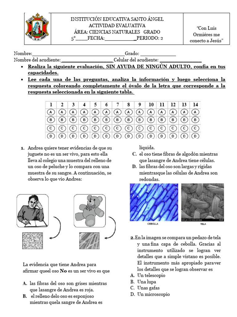 Actividad Evaluativa de La Célula Final Grado 5 | PDF | Biología Celular) | Plantas