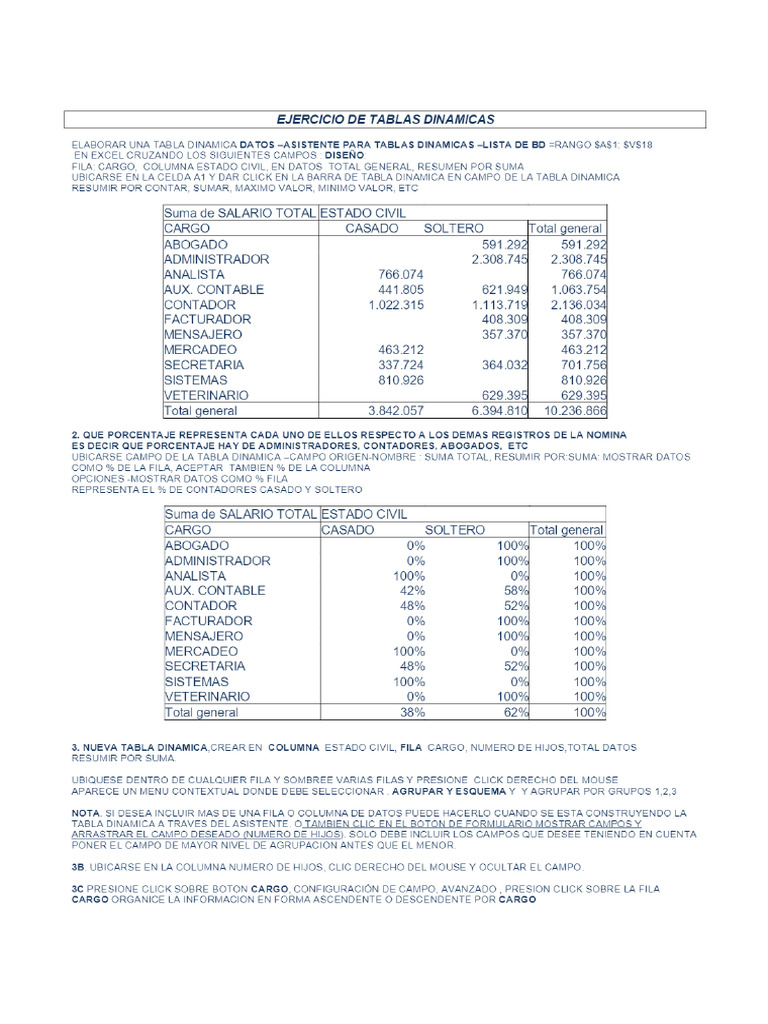 EJERCICIO DE TABLAS DINAMICAS - PDF | PDF