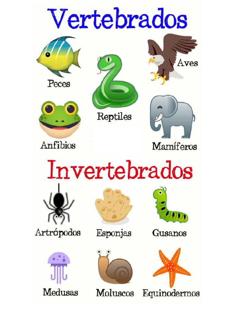 Animales Vertebrados e Invertebrados | PDF