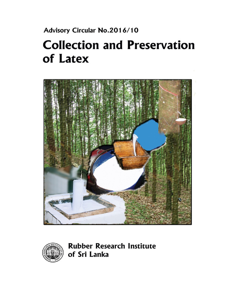 Collection & Preservation of Latex | PDF | Natural Rubber | Ammonia