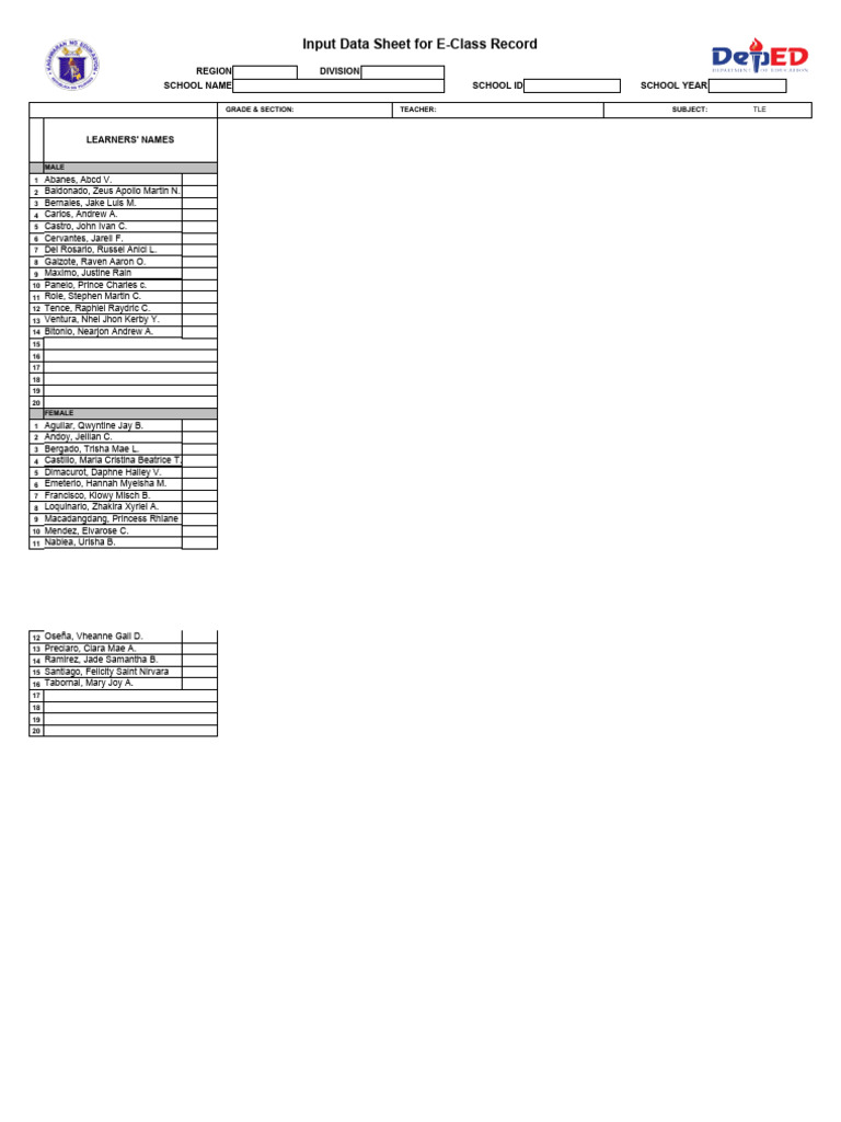 E-Class Record Input Data Sheet | PDF