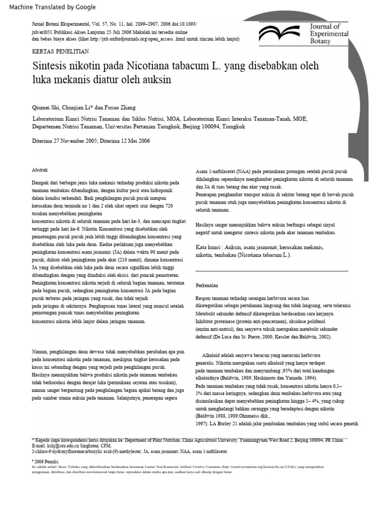 Analisis Kmno4 | PDF