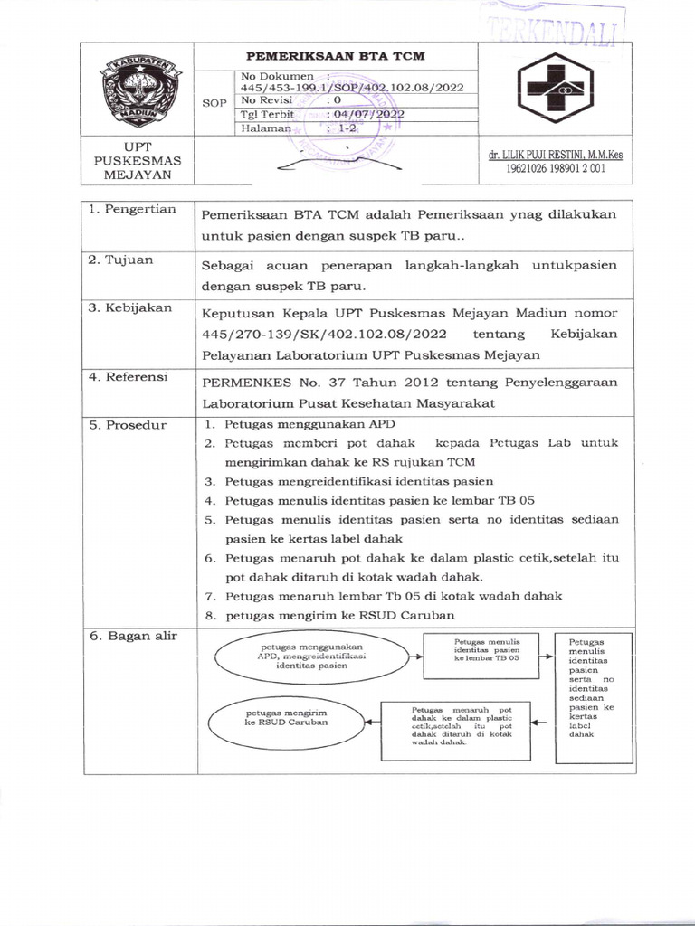 Pemeriksaan Bta TCM | PDF