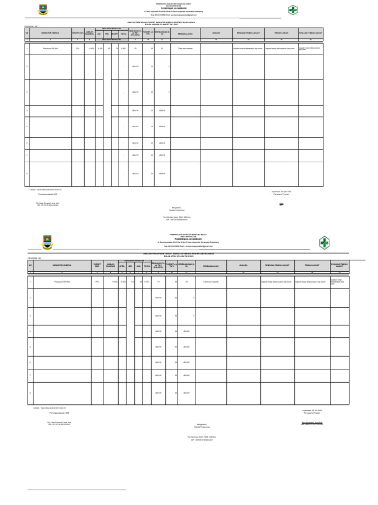 Analisis Pencapaian Target Indikator Kinerja KB | PDF