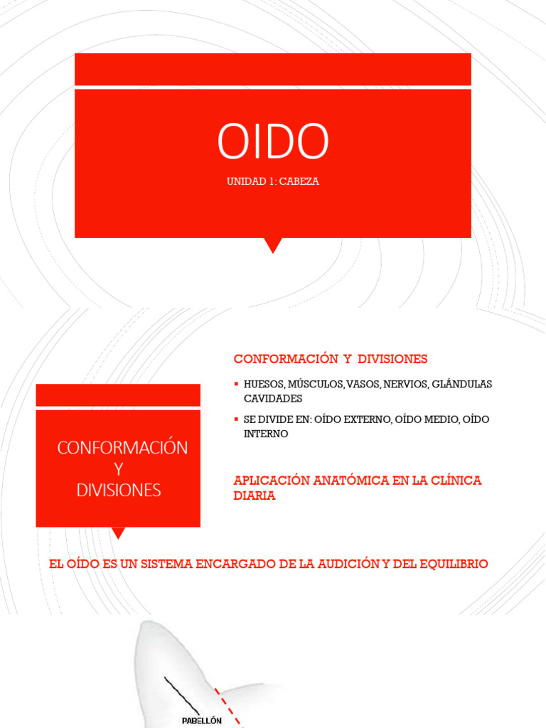 Anatomía del Oído: Estructuras y Funciones | PDF | Oído | Cabeza y ...