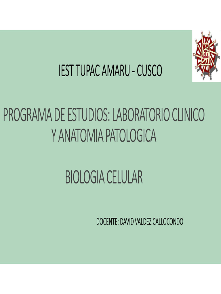 BioCel - 3 | PDF | Mitosis | Mitosis