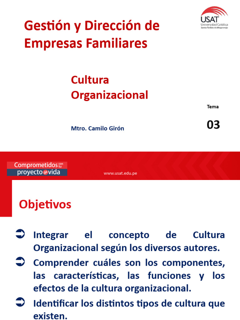 Tema 3. Cultura Organizacional - 2023-I | PDF | Cultura organizacional ...