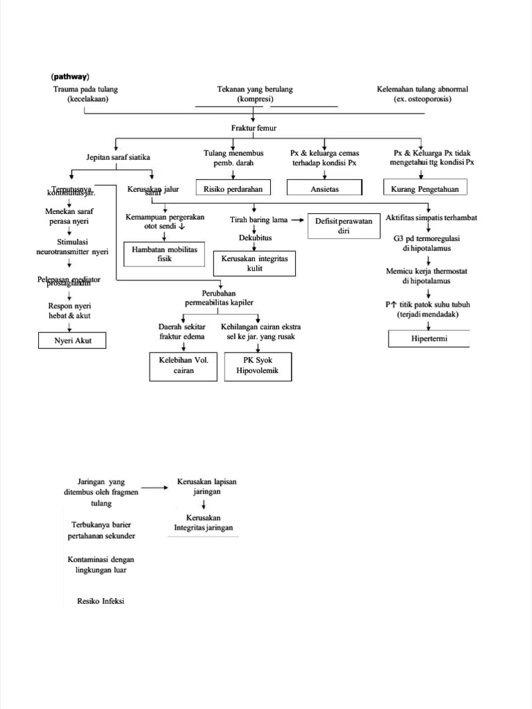 PDF Pathway Fraktur Femur - Compress | PDF