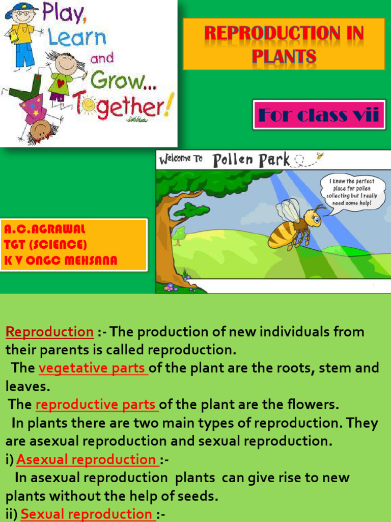 Plant Reproduction | PDF | Flowers | Seed