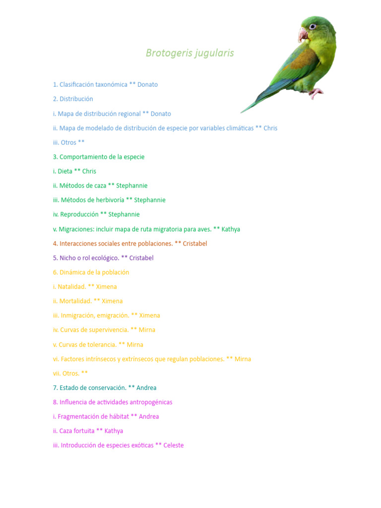 Brotogeris Jugularis Trabajo Grupo 8 | PDF