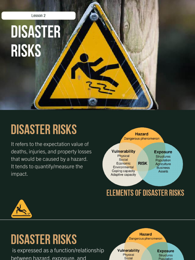Lesson 2 Disaster Risk | PDF | Risk | Hazards
