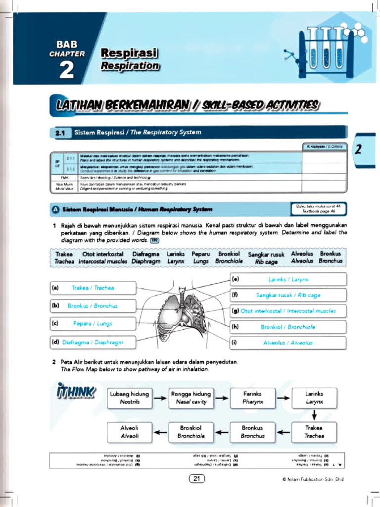 T3 SN Modul Nilam Bab 2 | PDF