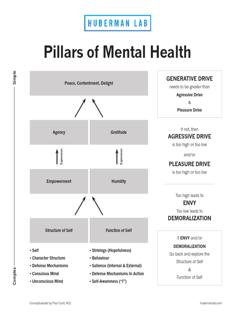 Pillars of Mental Health | PDF | Mind | Psychological Concepts