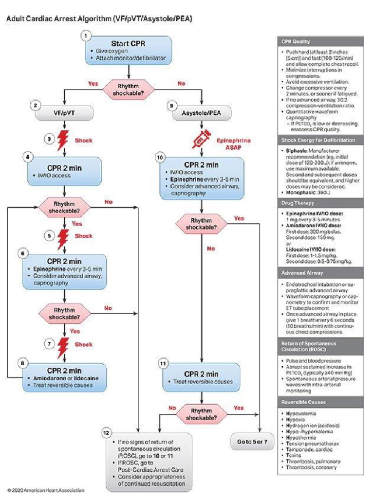 Adult Cardiac Arrest Algorithm | PDF