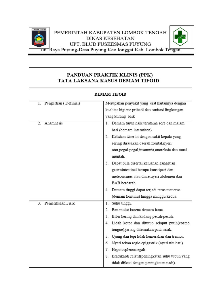 PPK Demam Typoid | PDF