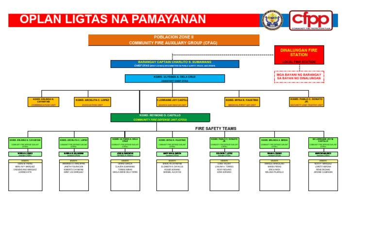 Structure For Olp Dimaseset | PDF