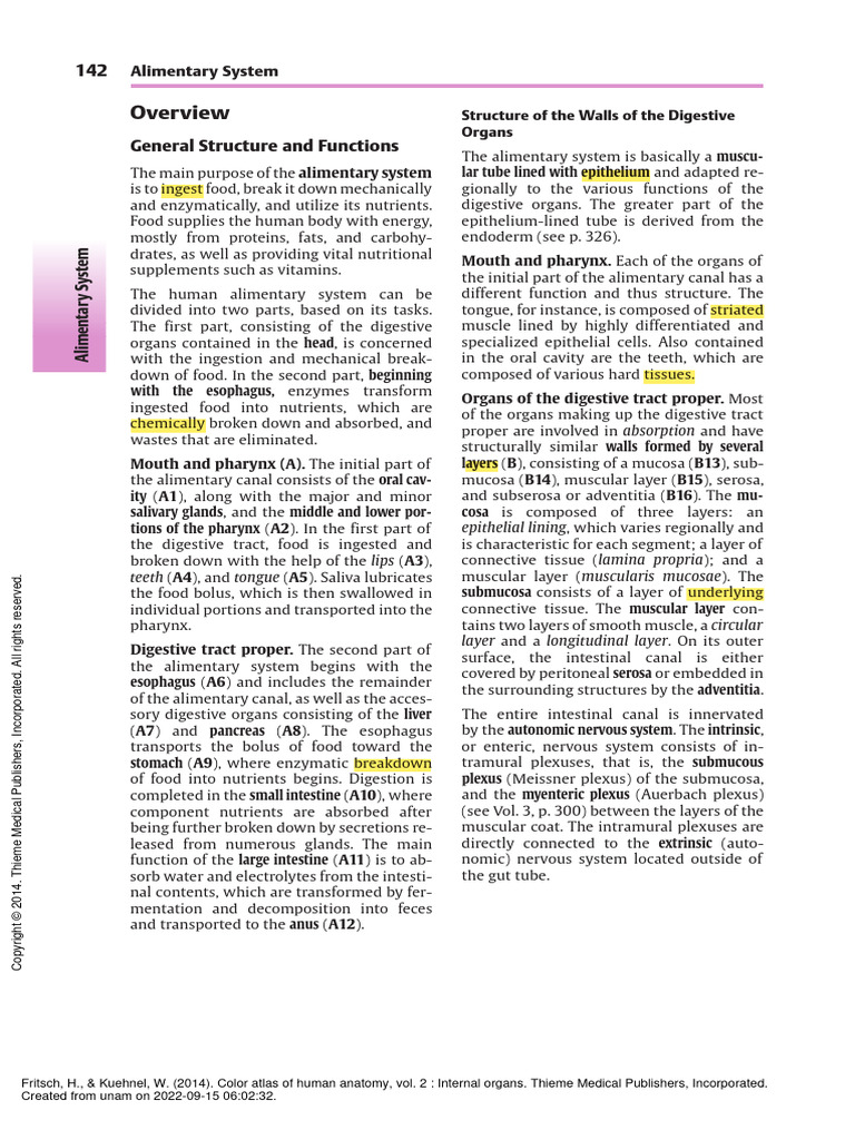Alimentary System Writing | PDF | Human Digestive System ...